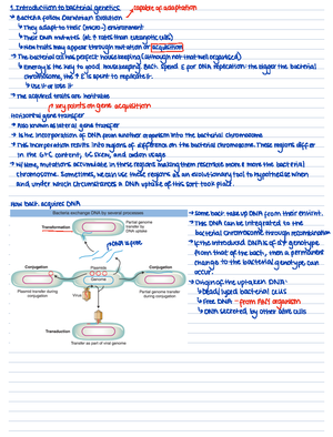 Third Space Learning Circle Theorems GCSE Worksheet - Circle Theorems ...