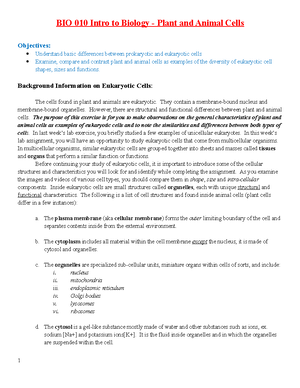 Intro To Microscope Assignment S21 - ]Summer 2021- BIO 010 Intro to ...