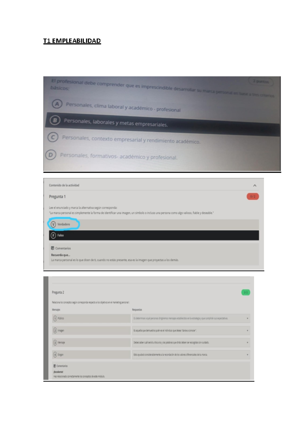 T1 Empleabilidad - T1 EMPLEABILIDAD 2 puntos básicos: El profesional debe comprender que es ...