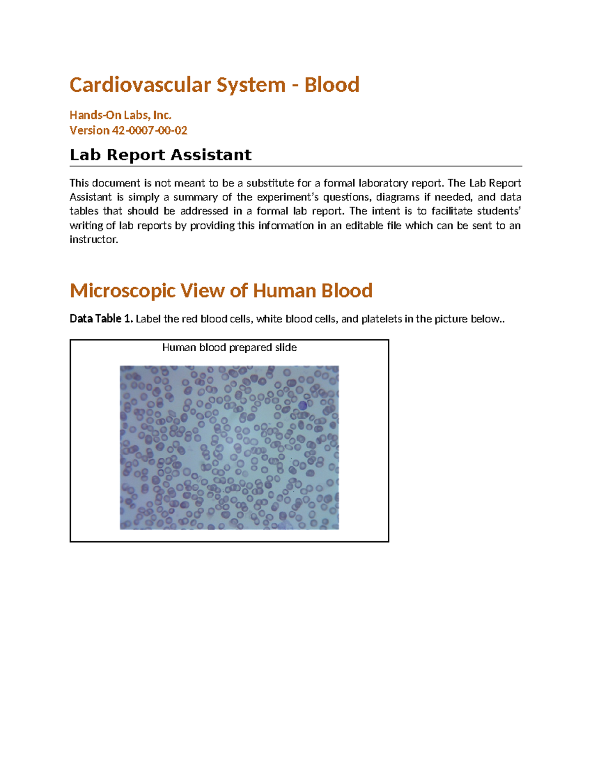 32 - Lab 3 CV System Blood modified - Cardiovascular System - Blood ...