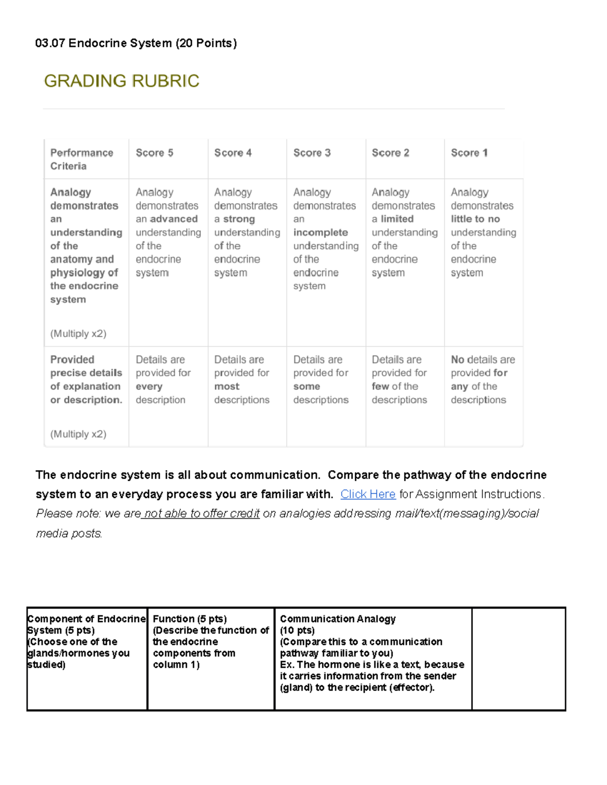 03.07 Endocrine System (20 Points) - 03 Endocrine System (20 Points ...