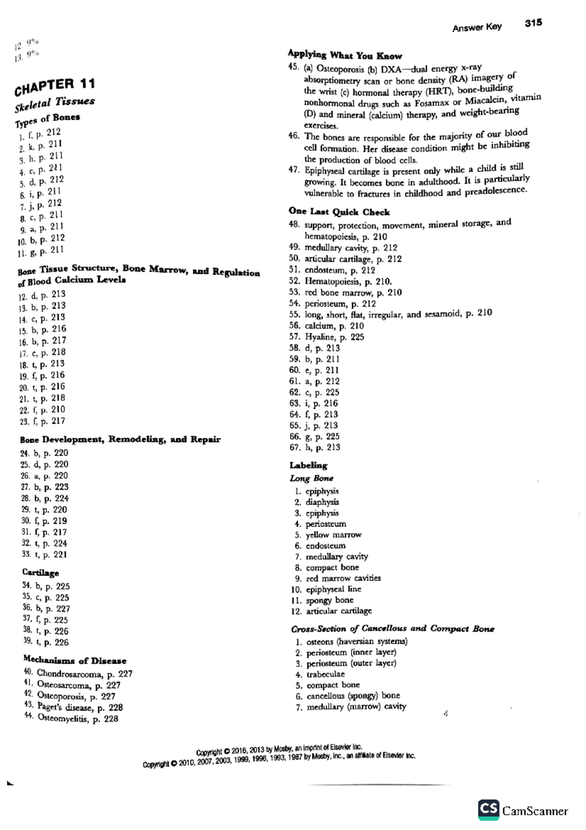 Anatomy Packet Chapter 11 23 PHS4904 MDC StuDocu anatomy-packet-chapter-11-23-phs4904-mdc-studocu