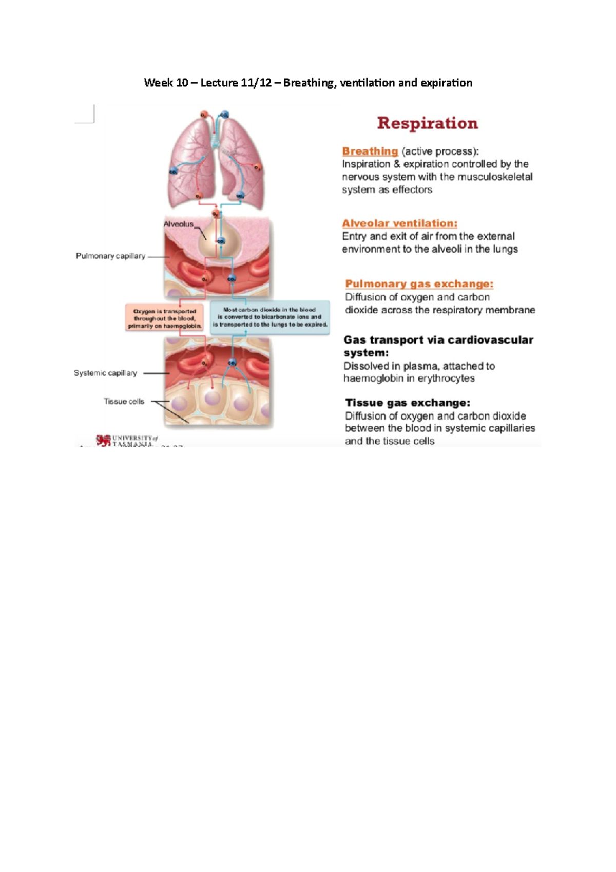 Cardiorespiratory - Week 10 – Lecture 11 - Week 10 – Lecture 11/12 ...