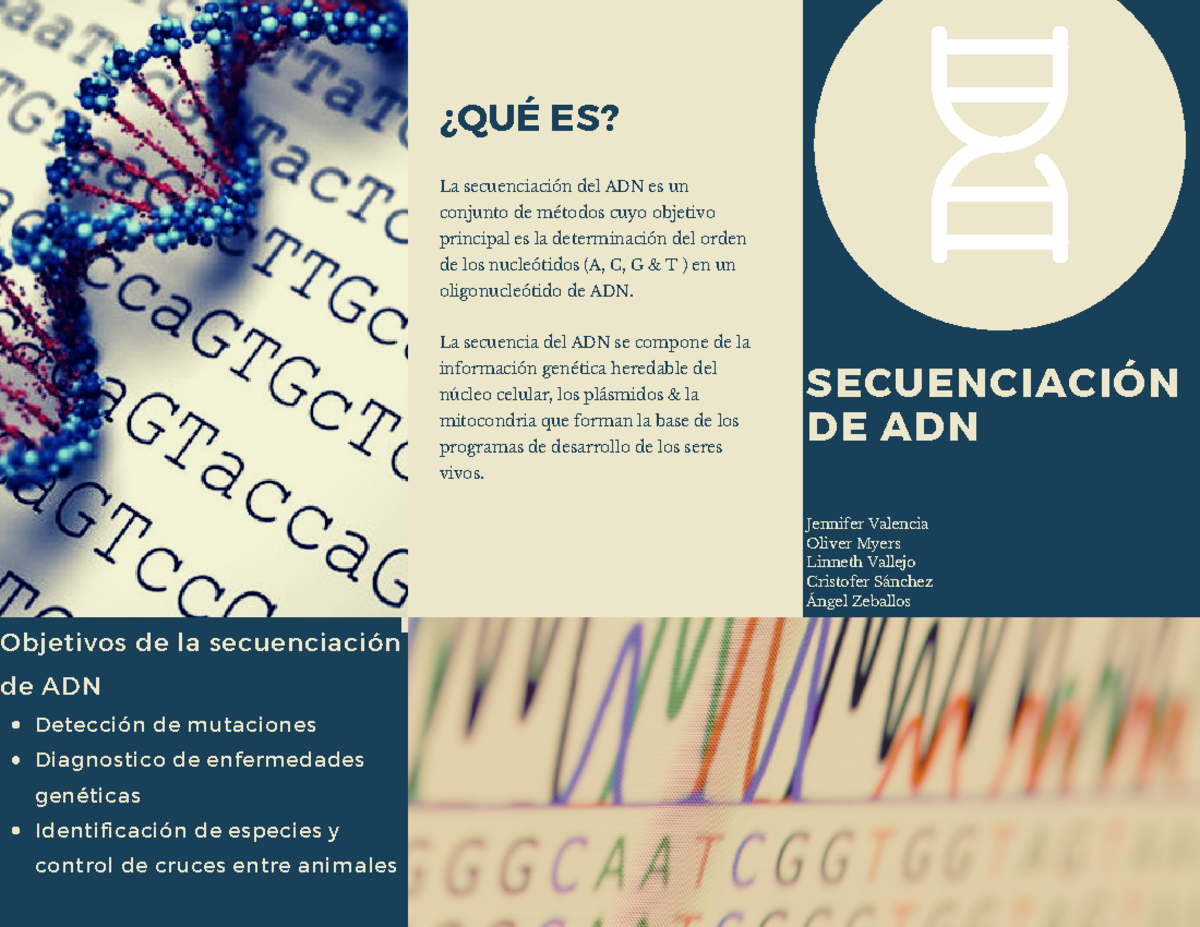 Triptico de biologia como ejemplo - SECUENCIACIÓN DE ADN Jennifer Valencia Oliver Myers Linneth ...
