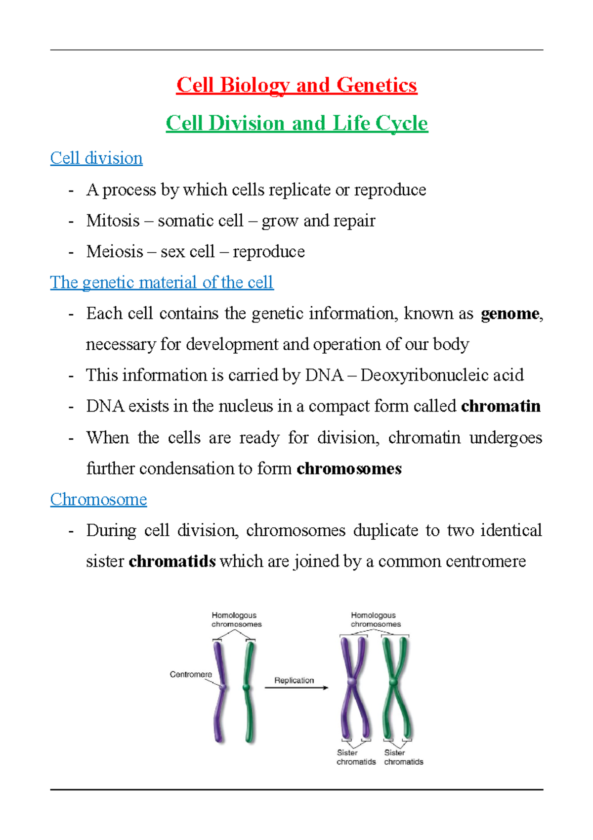 Summary Cell division and Life cycle - Cell Biology and Genetics Cell ...
