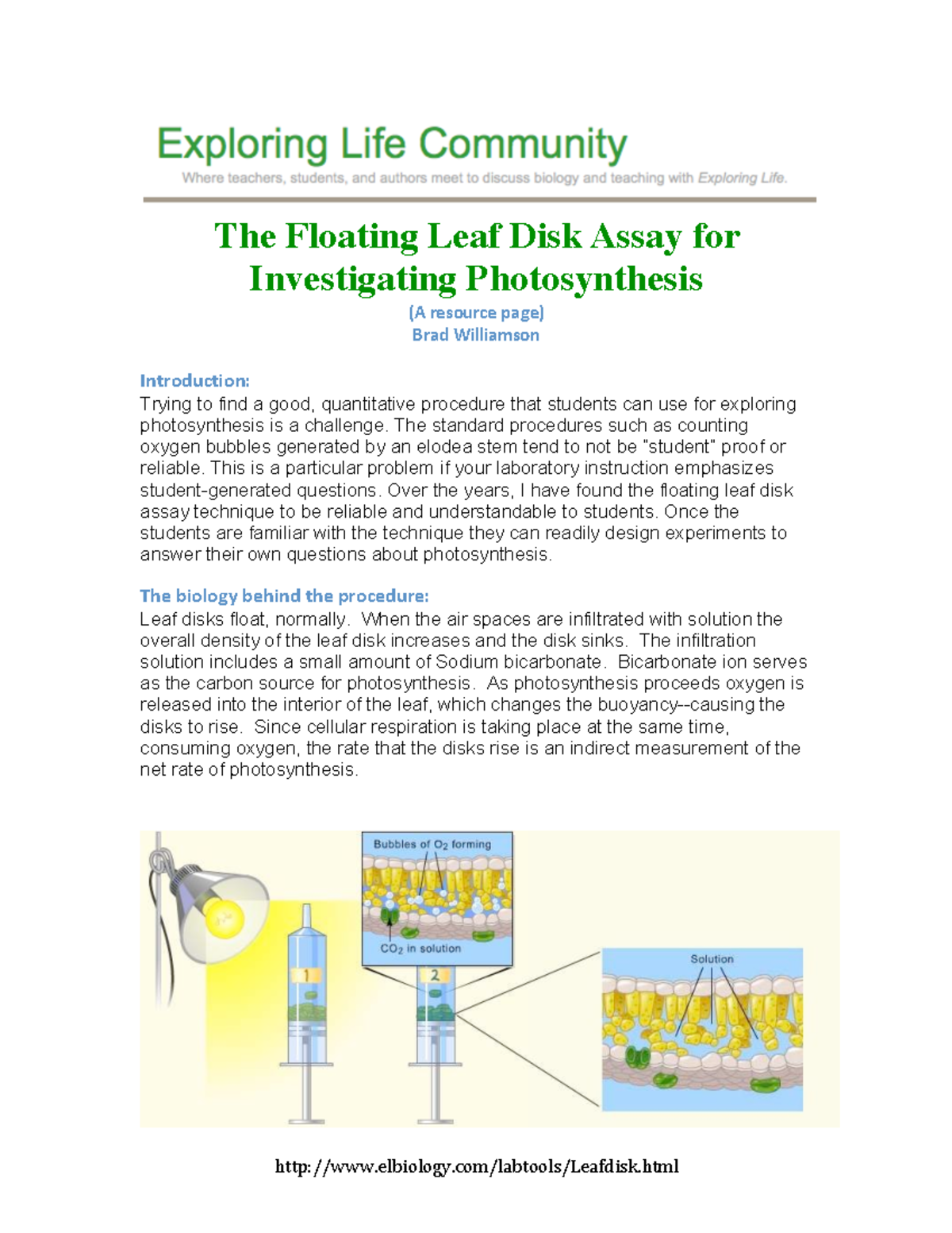 Floating Leaf Disk Brad Williamson - The Floating Leaf Disk Assay for ...