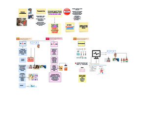 Cheat sheet - study - T-Cells B-Cells Both Can produce lethal hits to ...