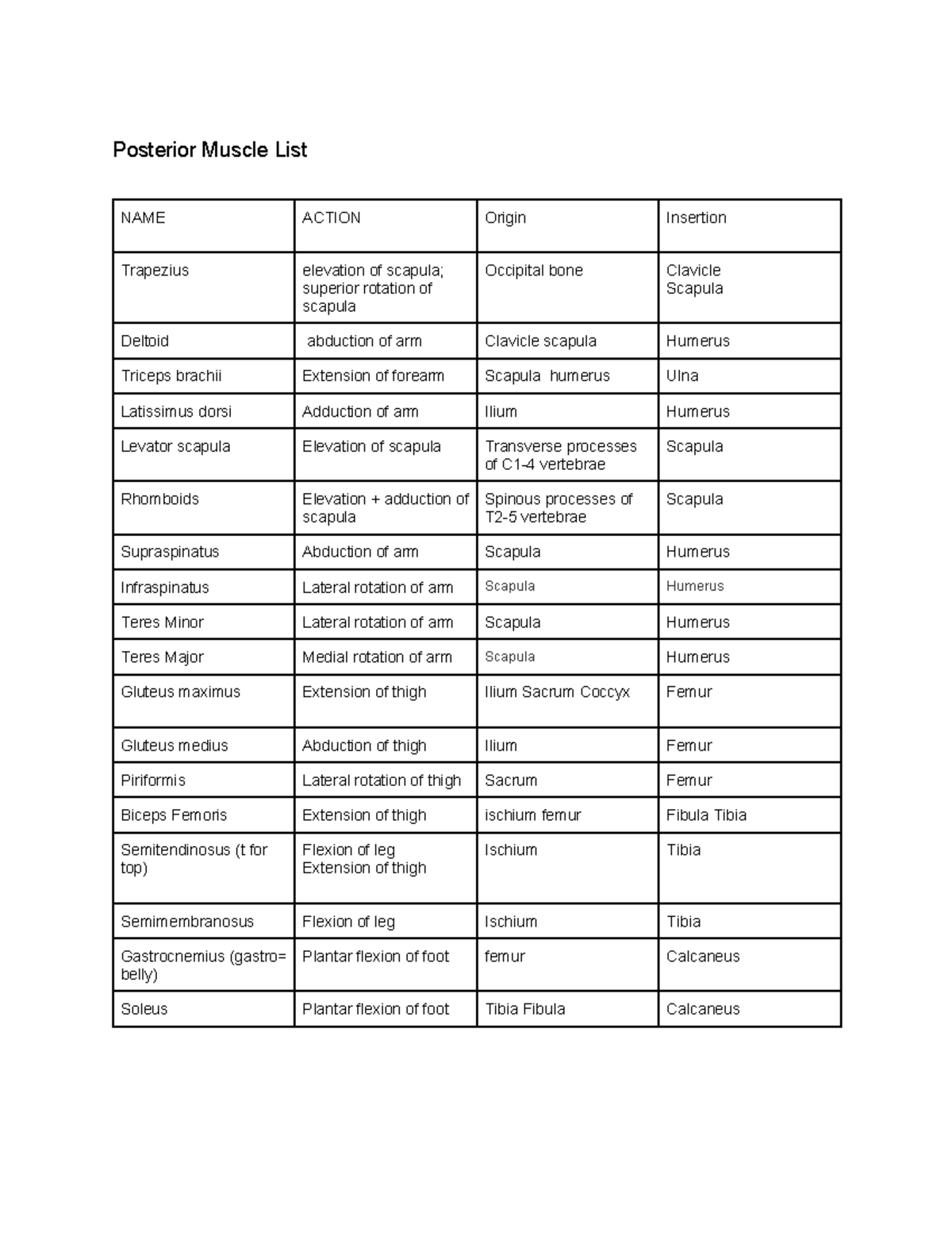 Posterior Muscle List - Posterior Muscle List NAME ACTION Origin ...