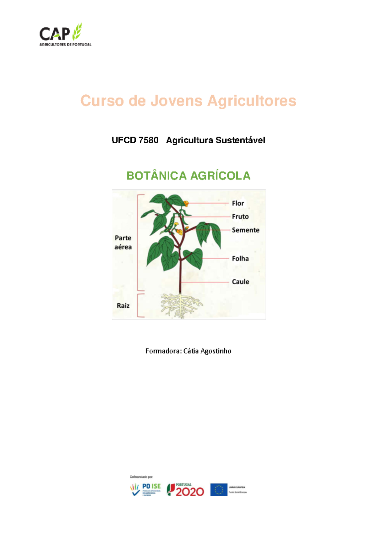 Manual de Botânica - Curso de Jovens Agricultores UFCD 7580 Agricultura ...