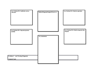 Fundamentals ATI Practice - Older adults (65 years old and older ...