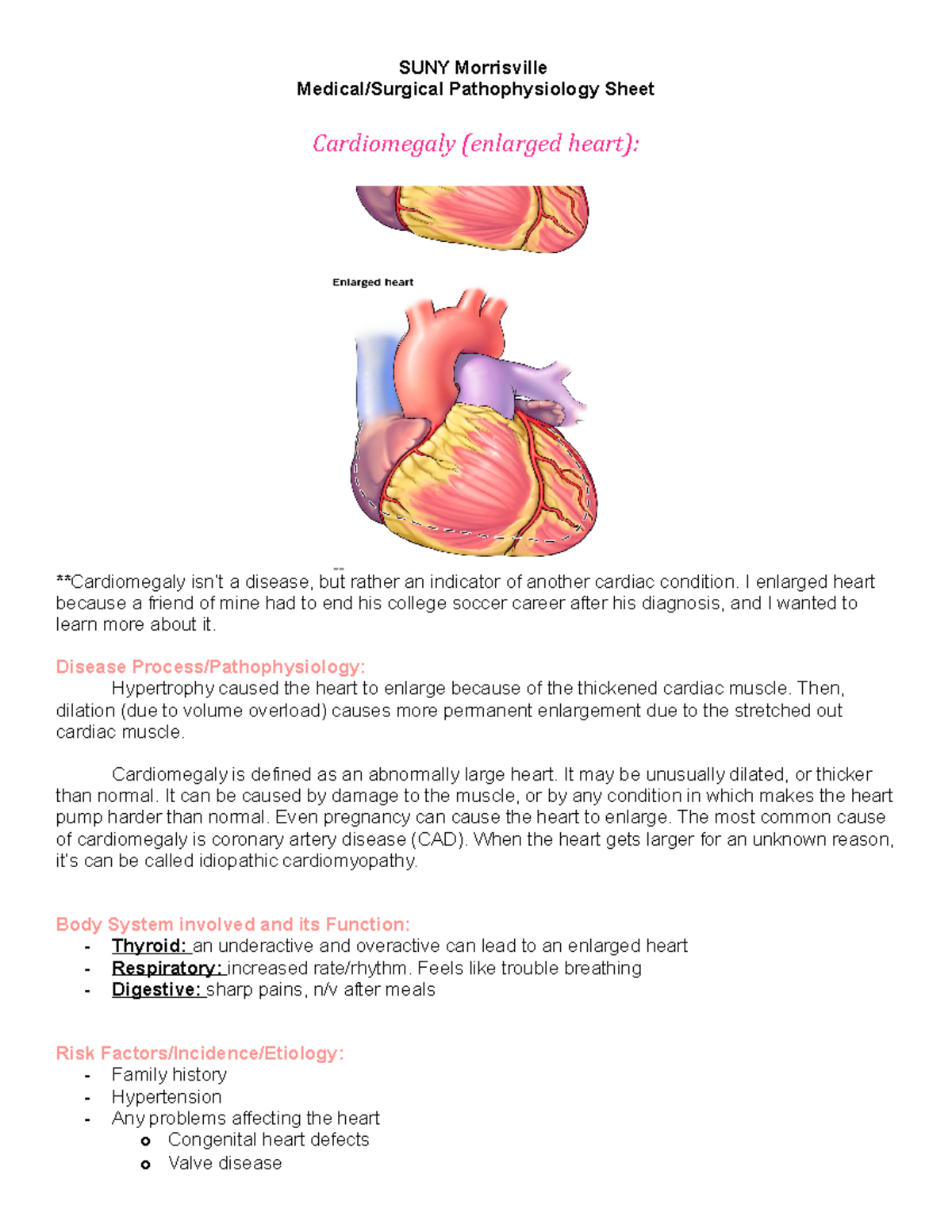 Pathosheet - Medication cards - SUNY Morrisville Medical/Surgical ...