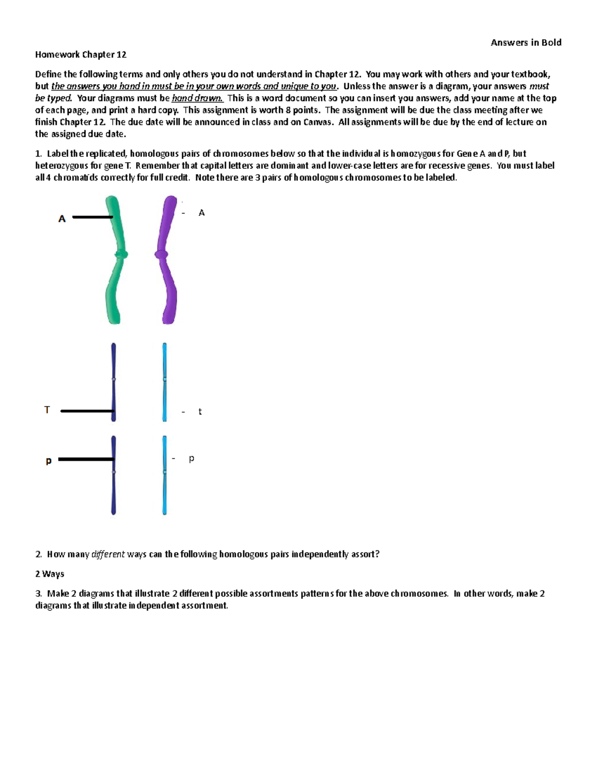 Homework Assignment - Chapter 12 - Answers in Bold Homework Chapter 12 ...