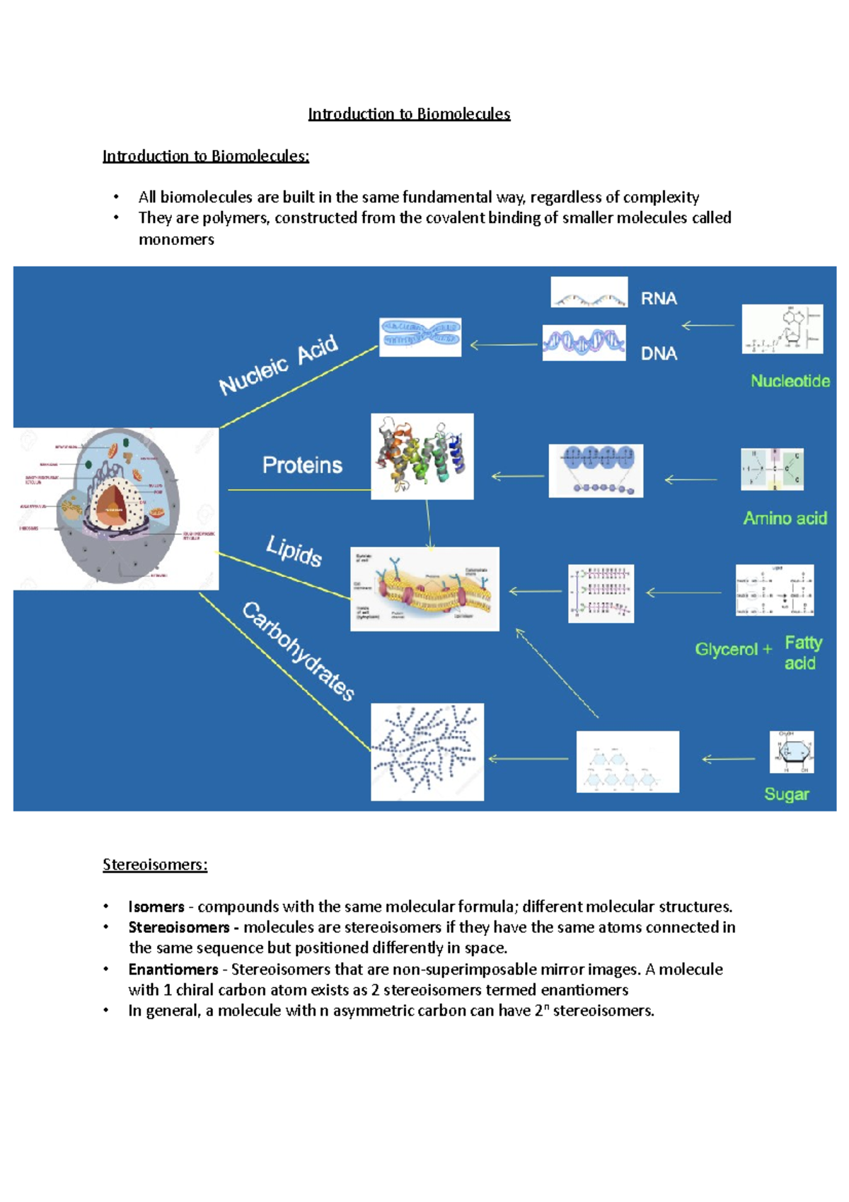 Introduction to Biomolecules - Introduction to Biomolecules ...