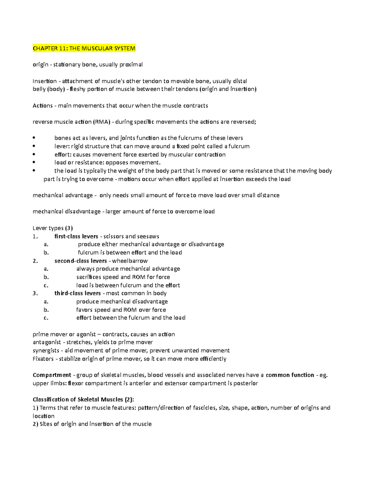 Midterm 2 Review - CHAPTER 11: THE MUSCULAR SYSTEM origin stationary ...