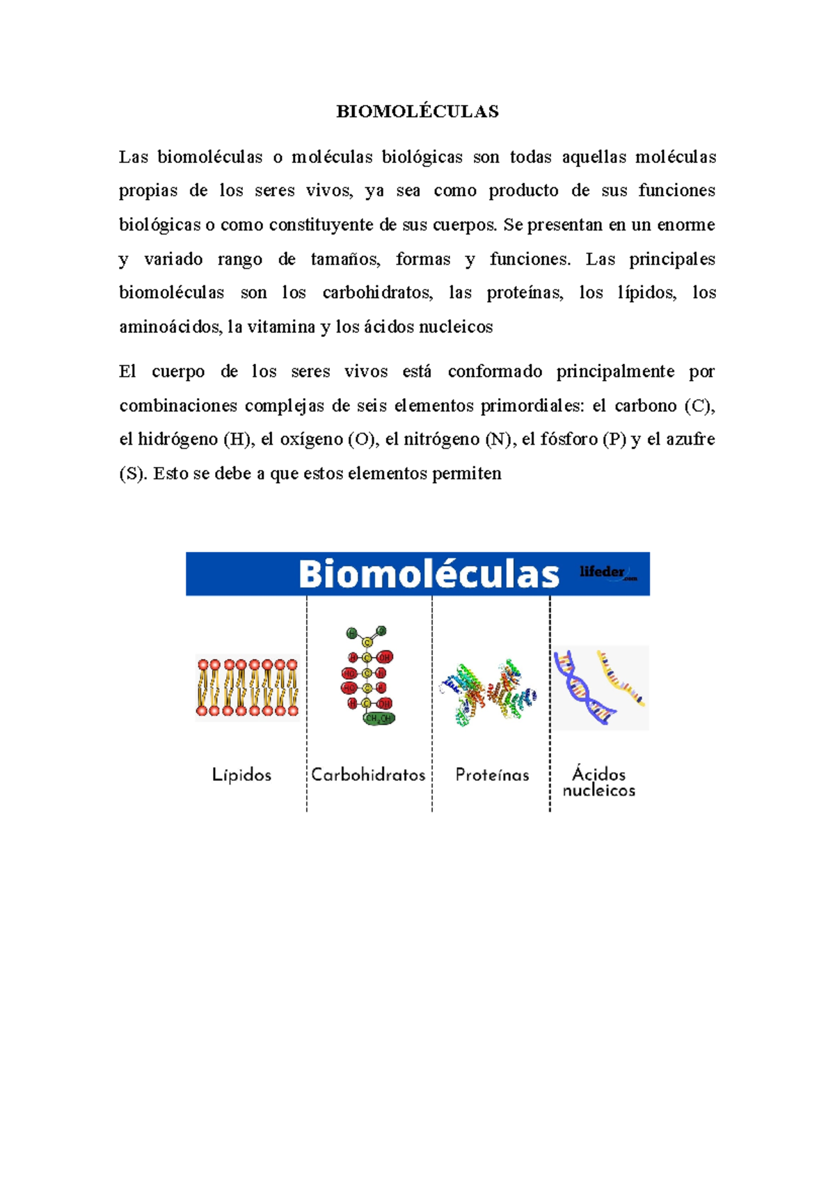 Biologia yaja - BIOMOLÉCULAS Las biomoléculas o moléculas biológicas ...