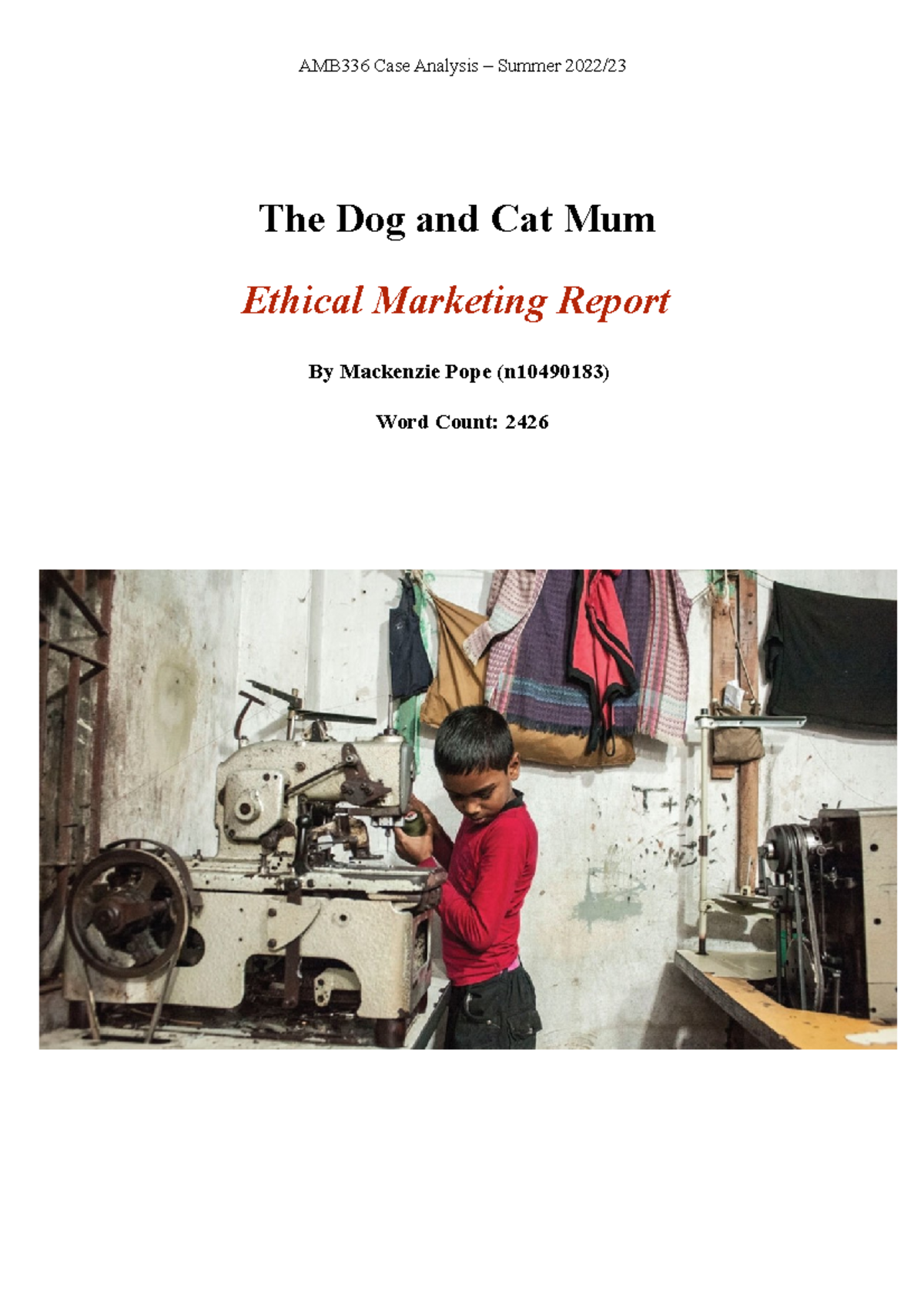 Assignment 1 - Case analysis - The Dog and Cat Mum Ethical Marketing ...