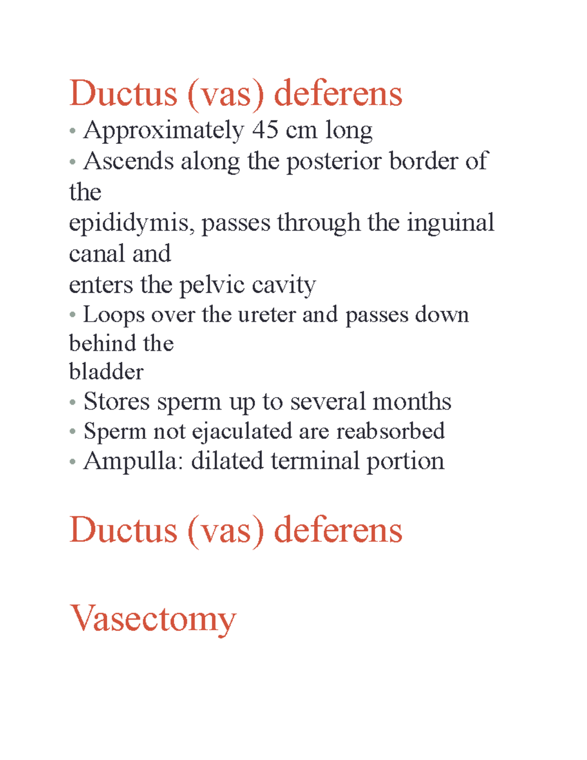 Ductus ANATOMY pt 1 - Ductus (vas) deferens • Approximately 45 cm long ...