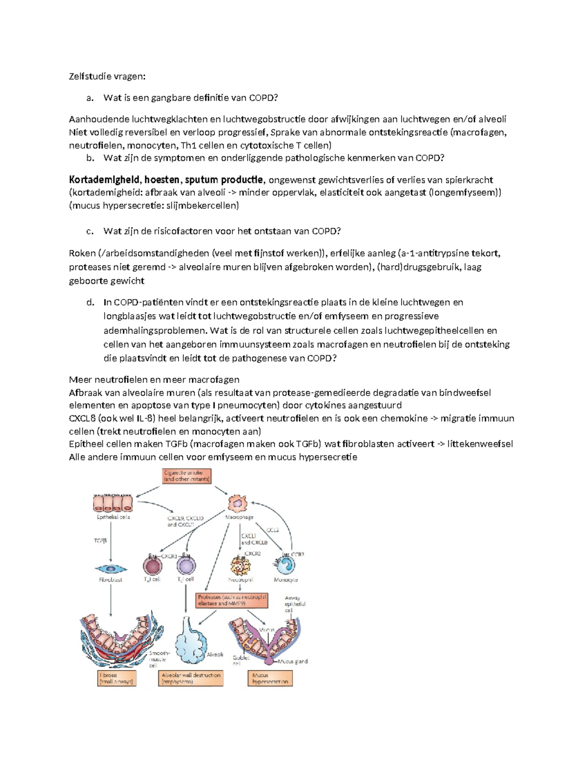 Zelfstudie wk 3-4 - werkcollege week 3 en 4 - Zelfstudie vragen: a. Wat ...