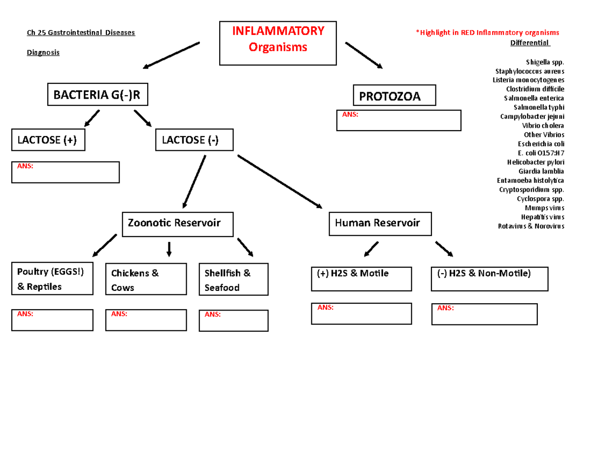 BIO 226 Ch 25 GI Diff Diagnosis worksheet Spr2021 - Ch 25 ...