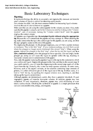 Subcutaneous Mycoses - They enter the skin or subcutaneous tissue by ...