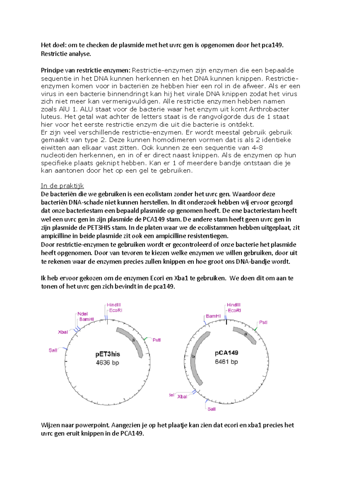 Samenvatting restrictie analyse en gelektroforese - Het doel: om te ...