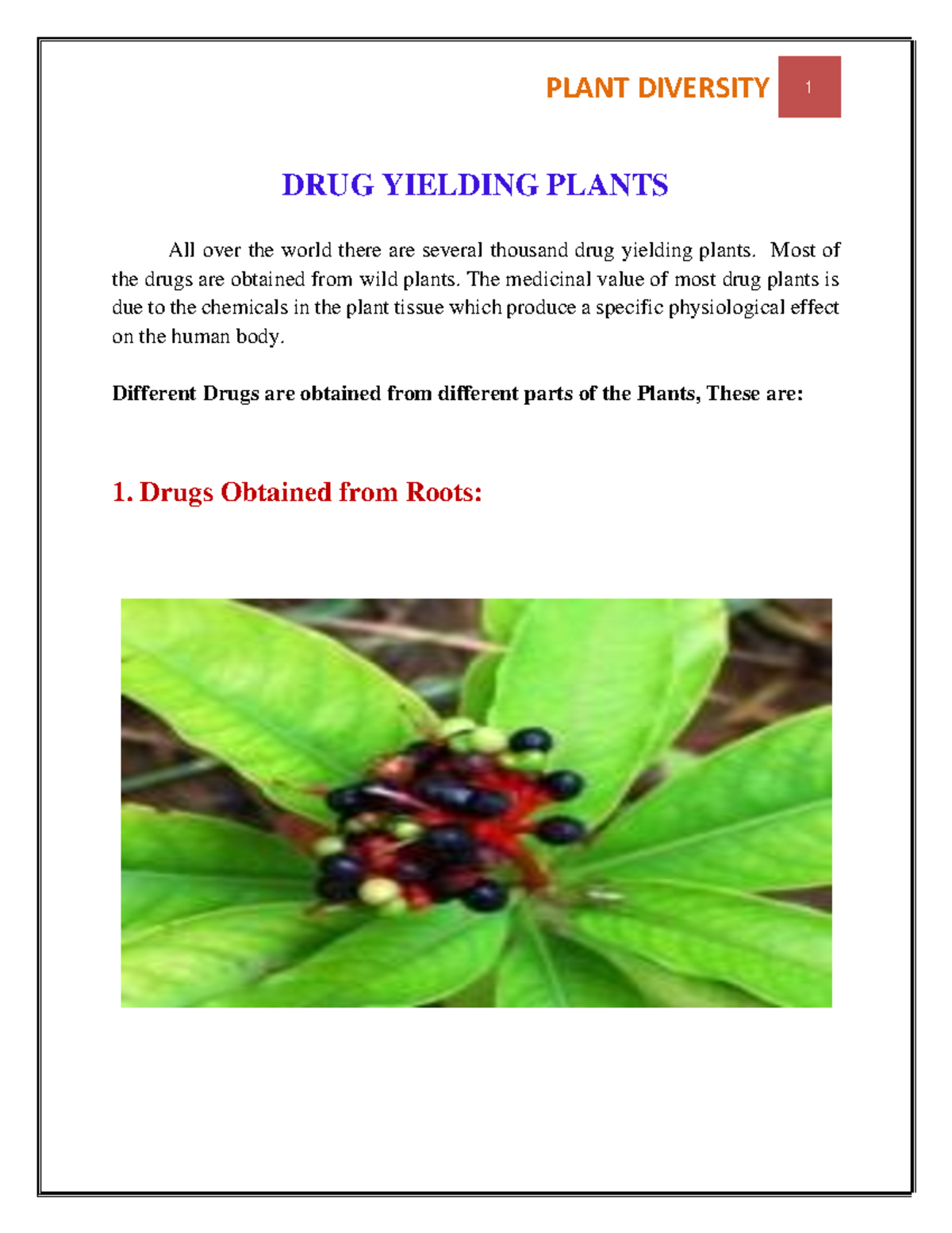 Drugs, Fiber AND Spice Yielding Plants - DRUG YIELDING PLANTS All over ...