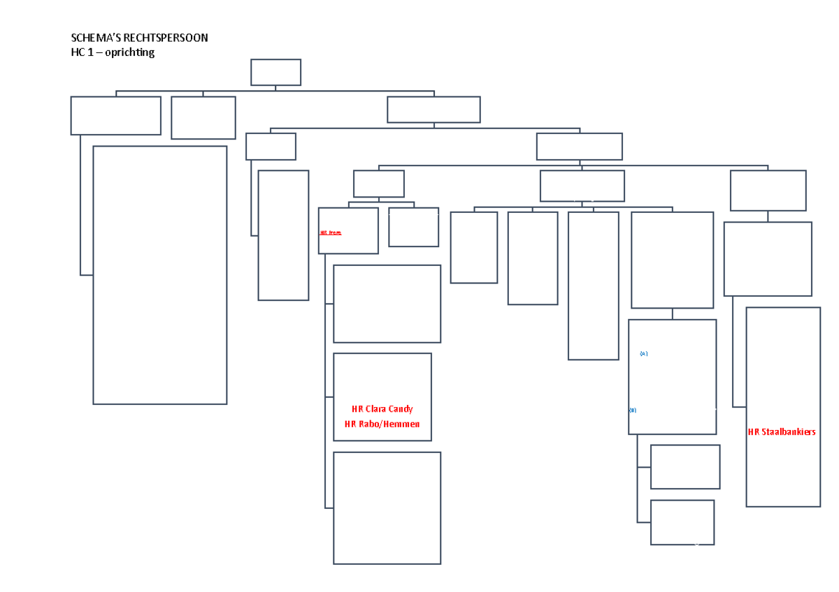 Schema’S Rechtspersoon HC 1 t/m HC 10 - RECHTSPERSOON HC 1 oprichting ...