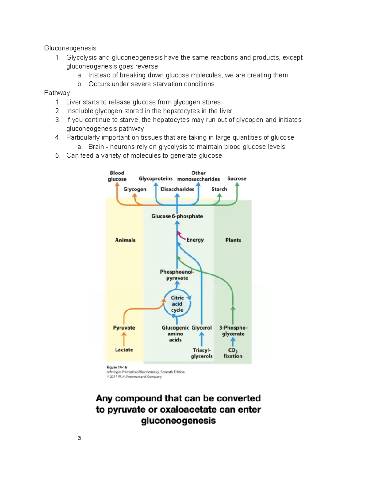 L21C - Lecture notes 21C - BIO 361 - SBU - Studocu