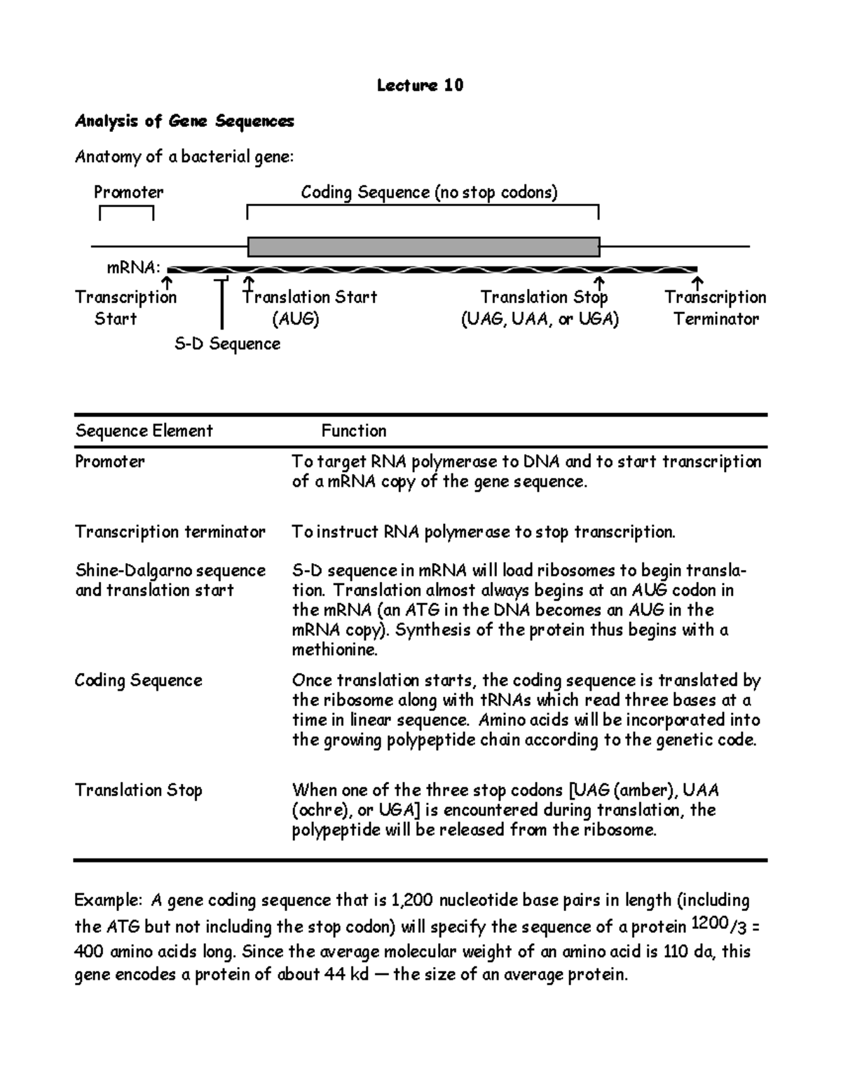Gene Structure and DNA Analysis - Deprecated API usage: The SVG back-end is no longer maintained ...