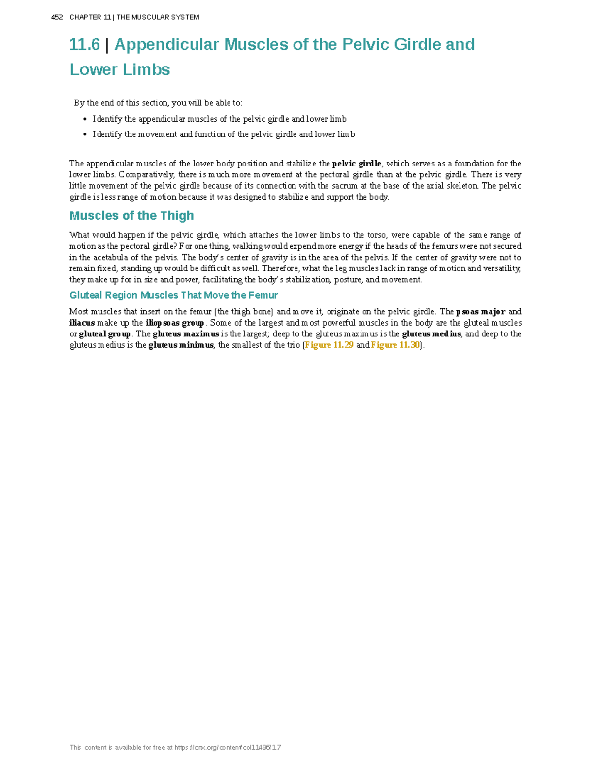 Anatomy-physiology-154 - 11 | Appendicular Muscles of the Pelvic Girdle ...