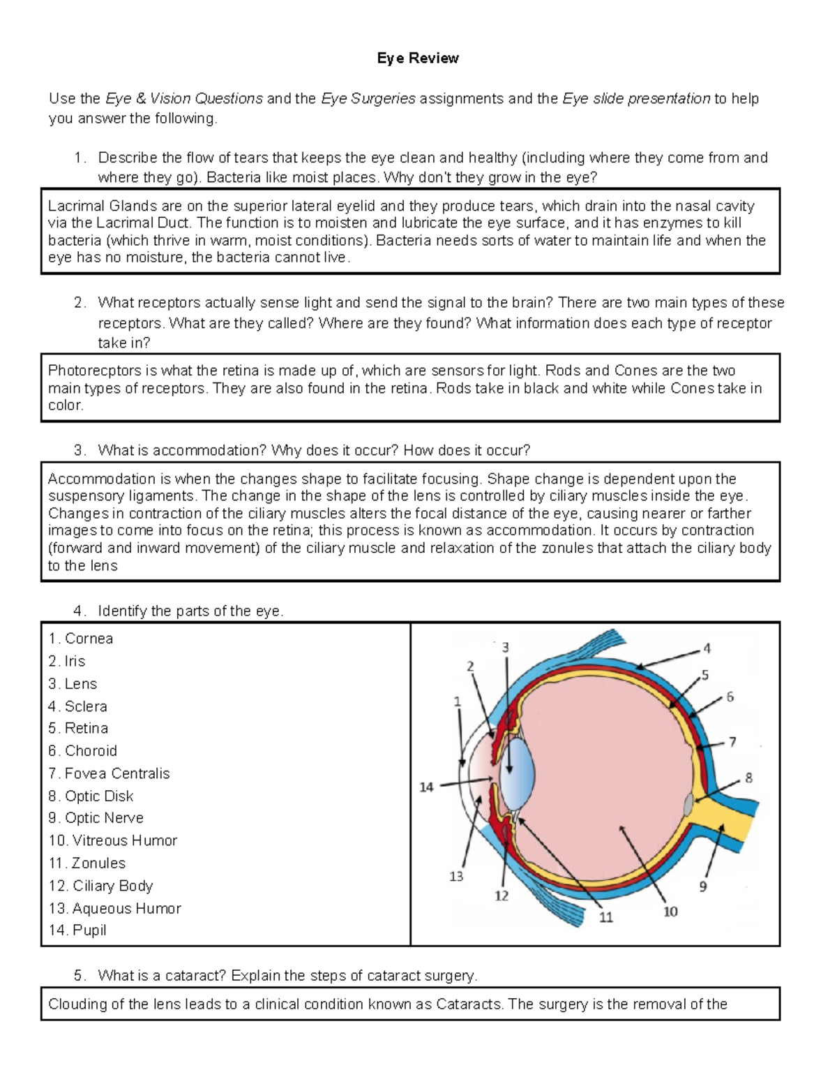 Eye Review with notes - Eye Review Use the Eye & Vision Questions and ...