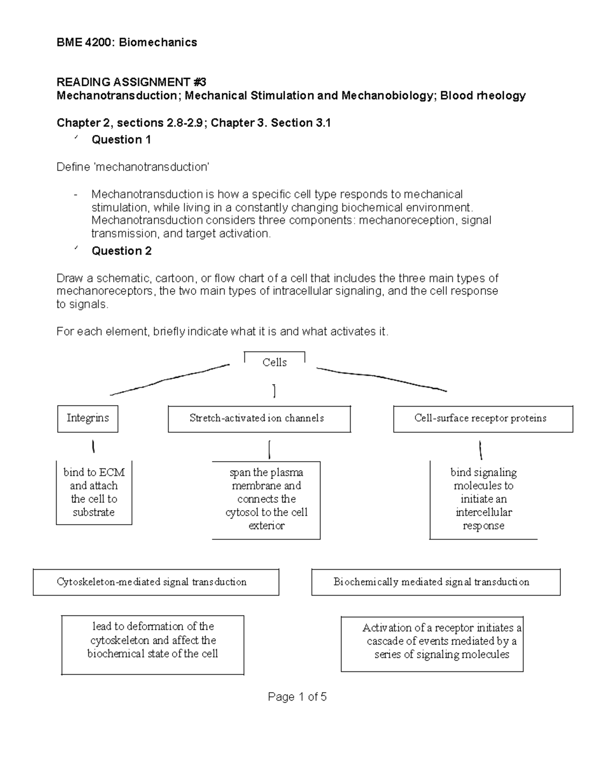 BME 4200 Reading 3 - BME 4200: Biomechanics READING ASSIGNMENT ...