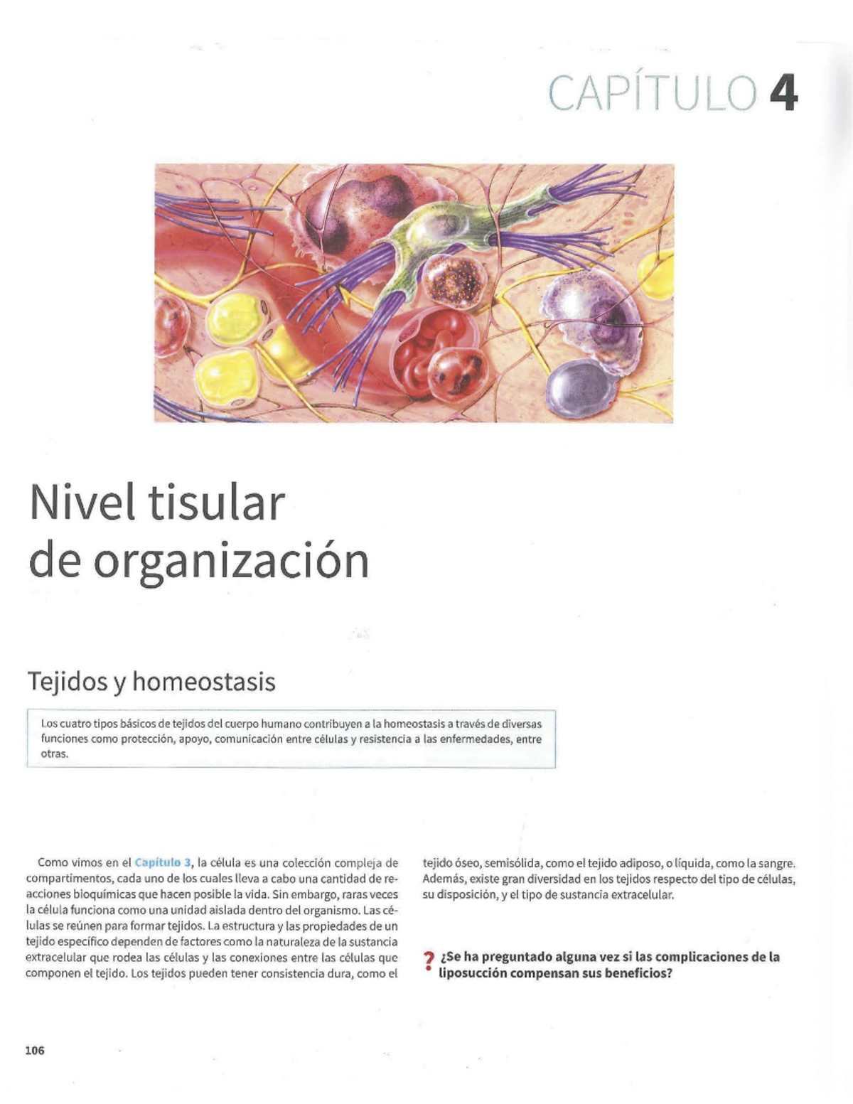 NIVEL TISULAR DE ORGANIZACION CAP. 4 EDICION 13ava. - CAPÍTULO 4 Nivel ...