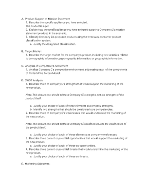 Company G project - Company G 1-Year Marketing Plan Student Name ...