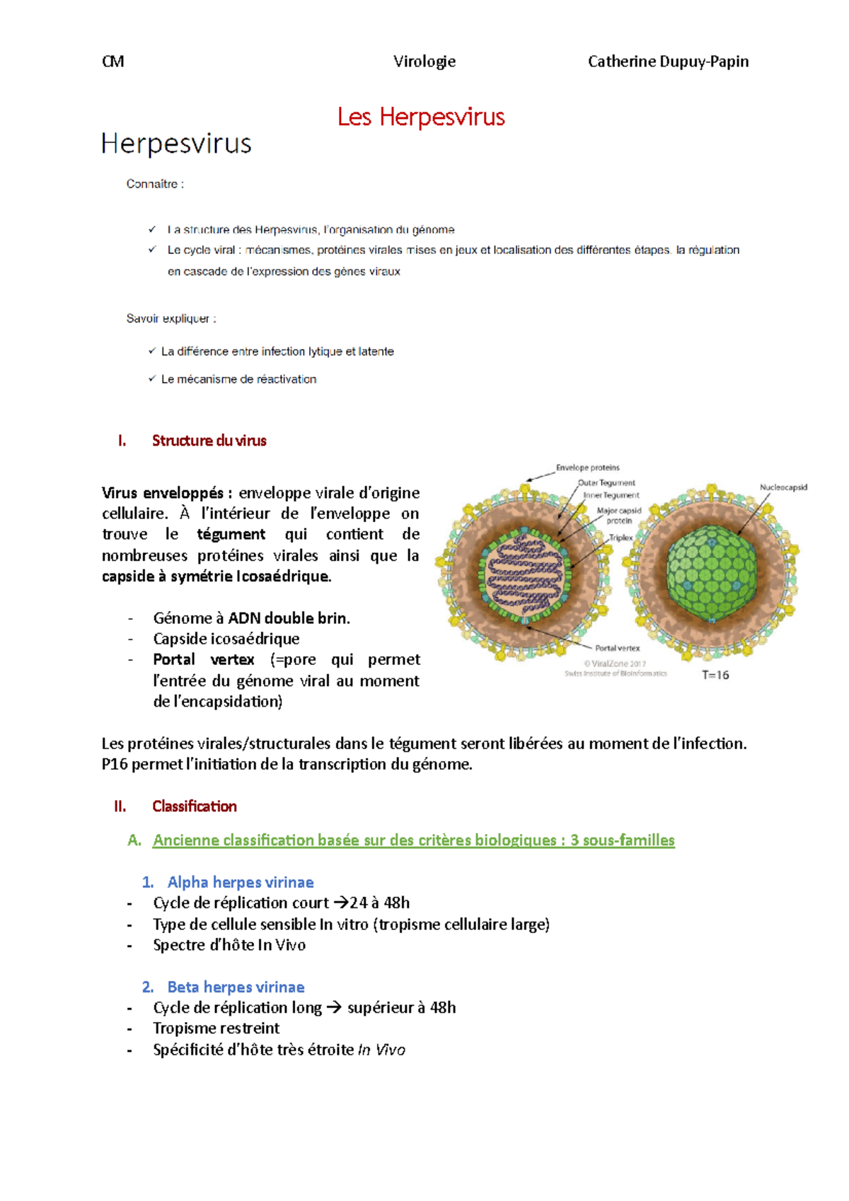 Les Herpesvirus - Cours, L3, Virologie - Les Herpesvirus I. Structure du virus Virus enveloppés ...