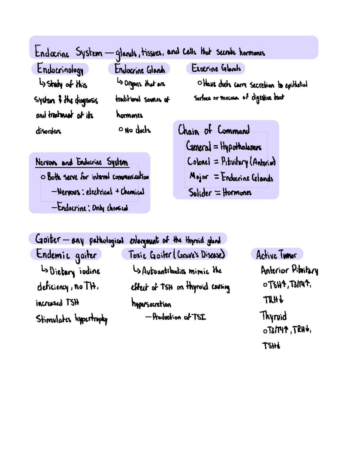 Endocrine System 2 - Summary Intro Human Anatomy and Physiology ...