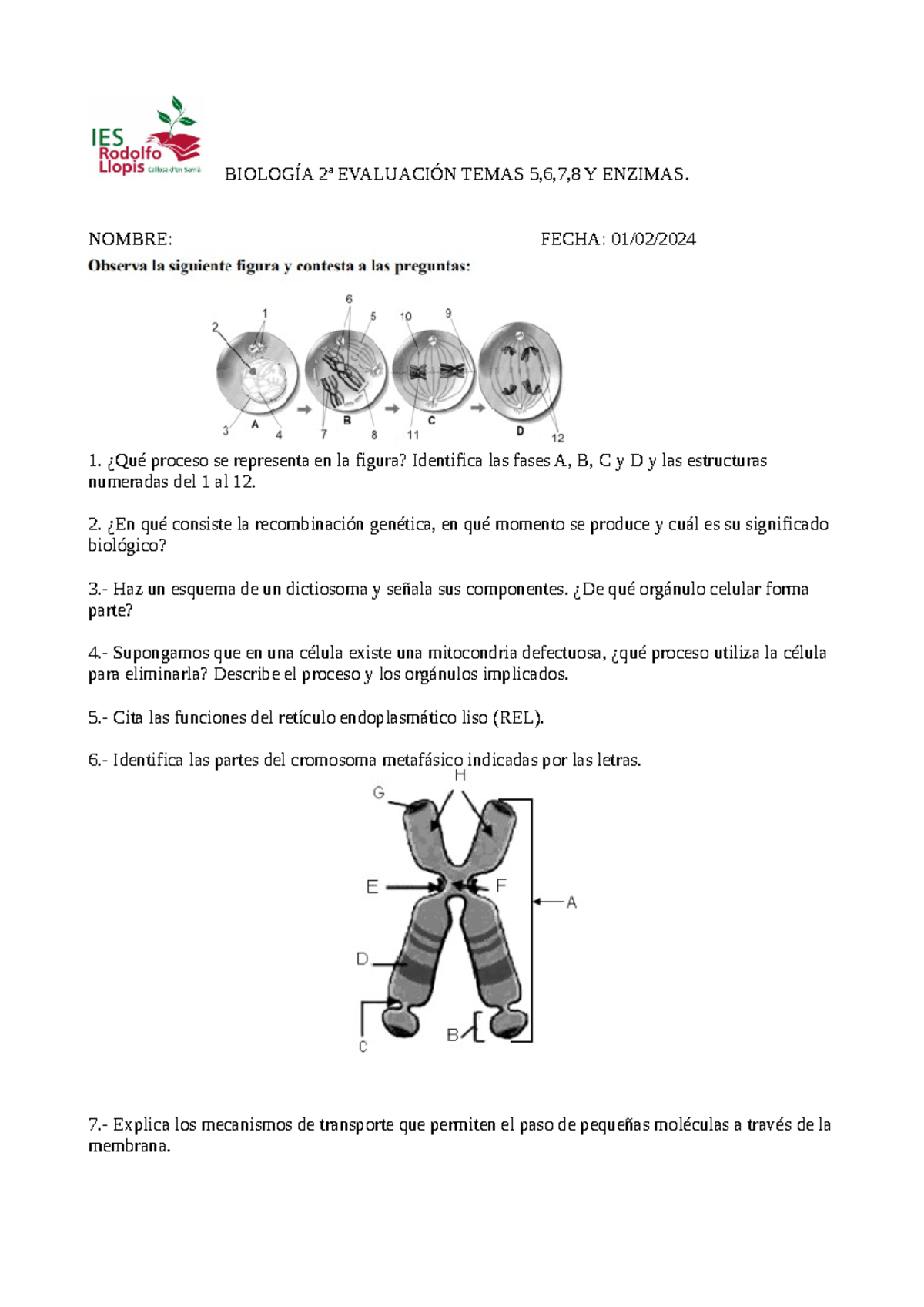 Examen BIO Temas 5,6,7 Y 8 Enzimas - BIOLOGÍA 2ª EVALUACIÓN TEMAS 5,6,7,8 Y ENZIMAS. NOMBRE ...