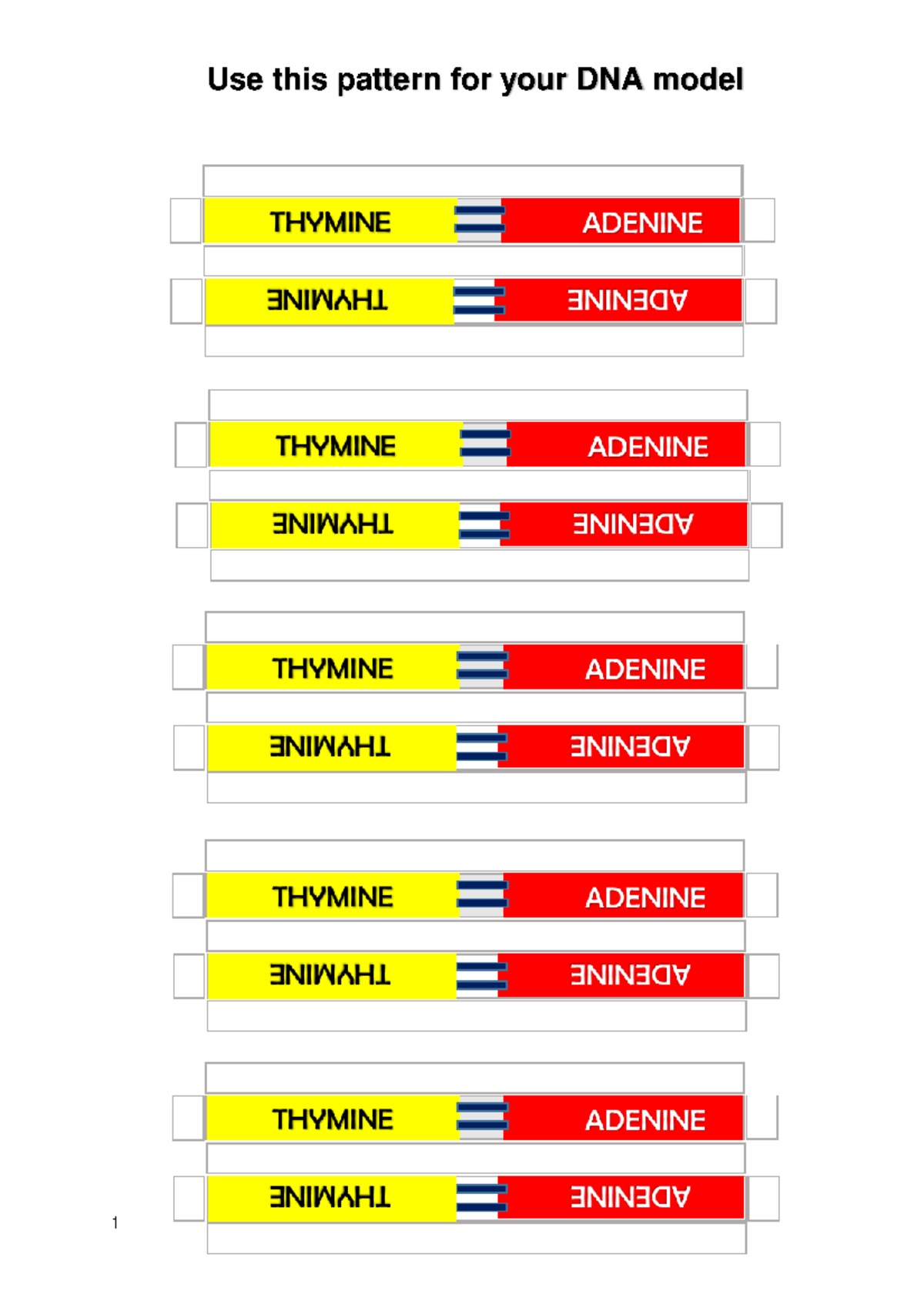 My Pattern for DNA Model - Use this pattern for your DNA model THYMINE ...