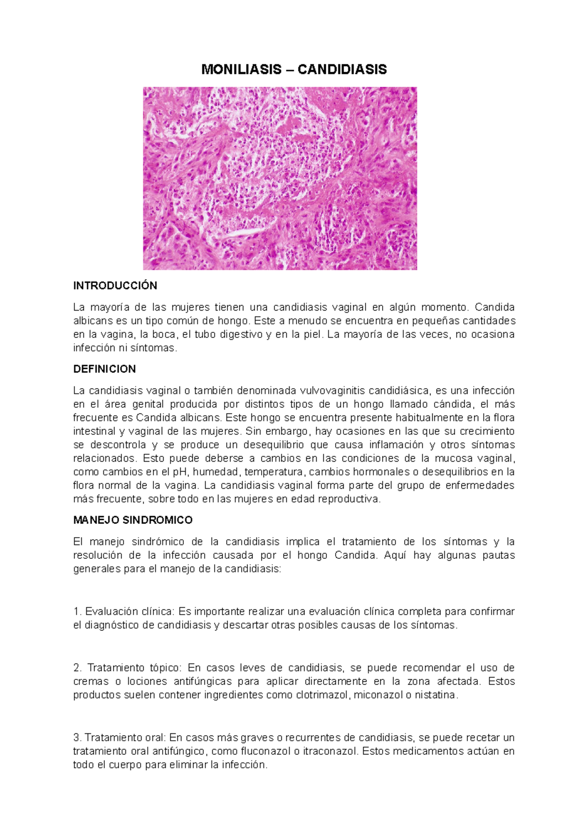 Histología De Candida Albicans