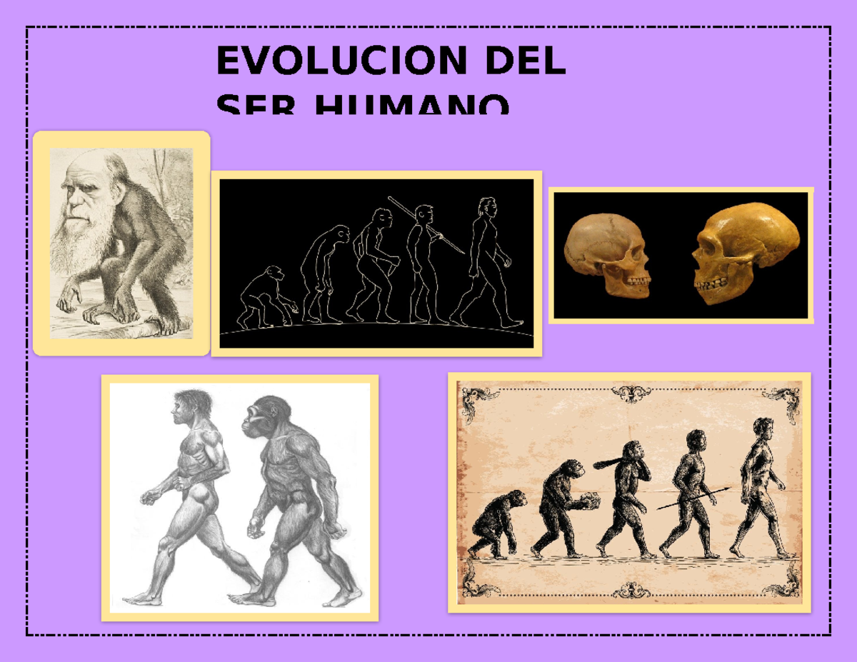 Evolucion - ciencia - EVOLUCION DEL SER HUMANO Índice 1 evolución del ...