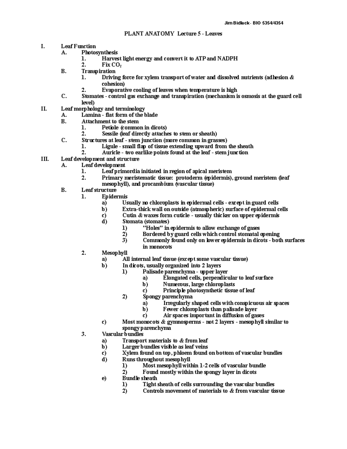Leaves - PLANT ANATOMY ( - Jim Bidlack - BIO 5354/ PLANT ANATOMY ...