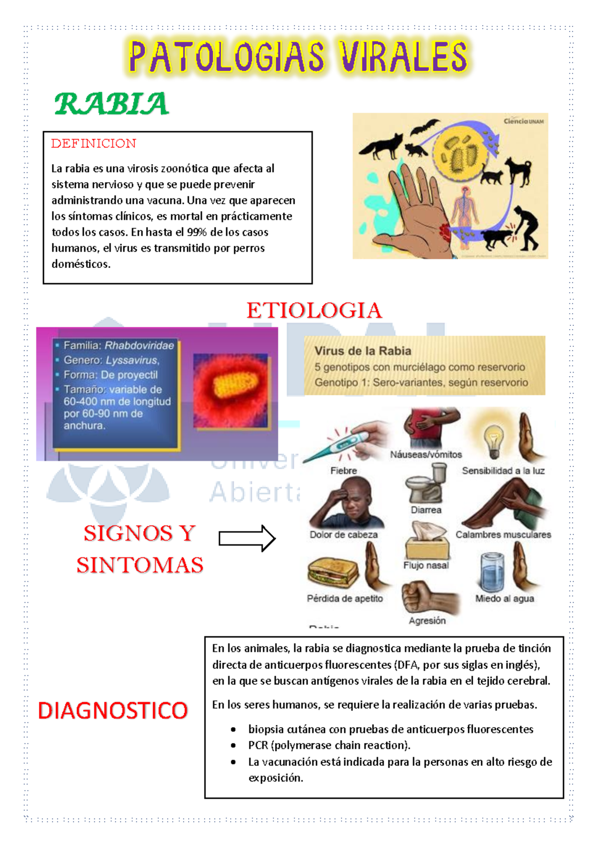 Patologías virales - DEFINICION La rabia es una virosis zoonótica que ...