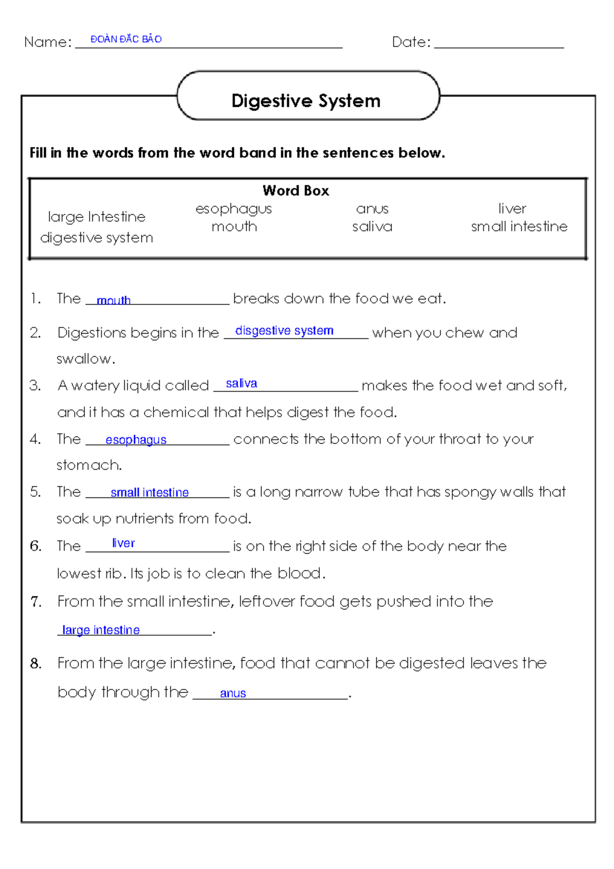 Digestive System Organs Fill in Blanks - Name ...