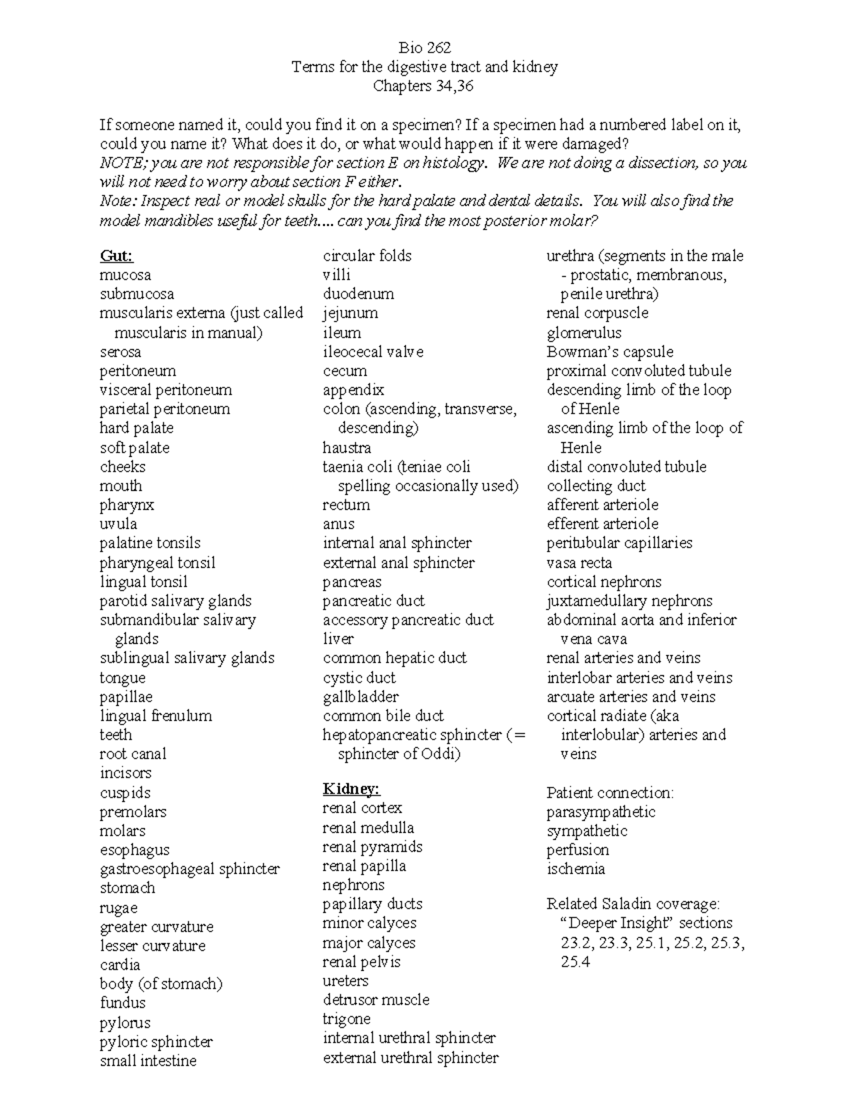 Digestive Tract and Kidneys Terms - Bio 262 Terms for the digestive ...