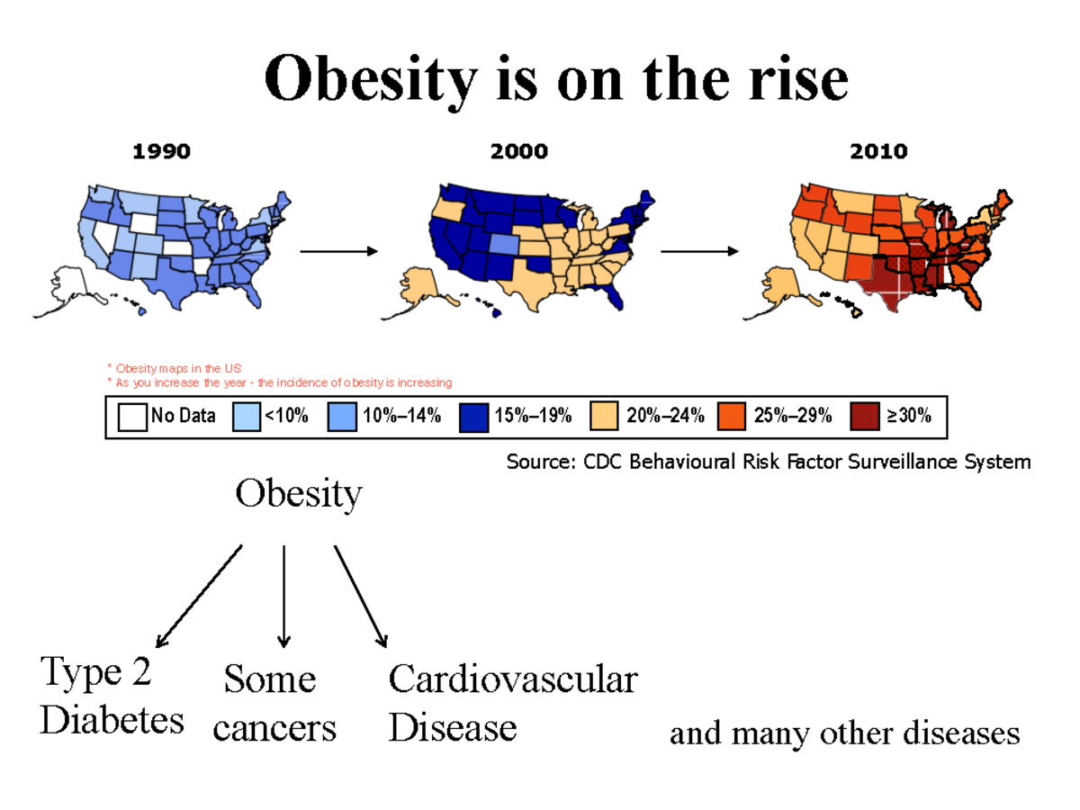 Lecture notes, lectures 11-12 - Obesity Insulin Resistance - Obesity is ...