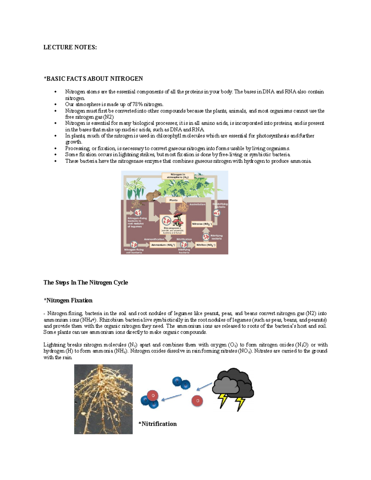 Basic Facts About Nitrogen AND THE Steps IN THE Nitrogen Cycles ...