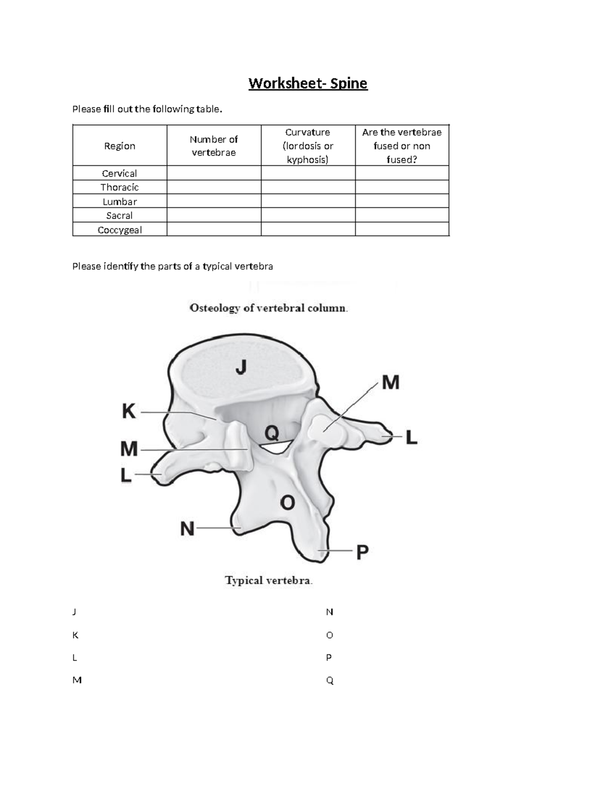 Worksheet - Spine - Worksheet- Spine Please fill out the following ...