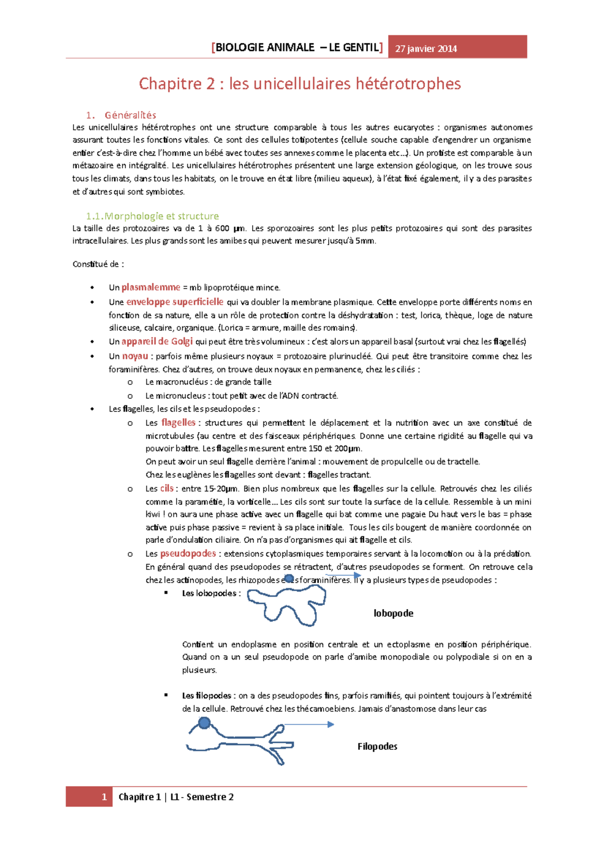 Ch 2 - BA - Les unicellulaires hétérotrophes - [BIOLOGIE ANIMALE – LE GENTIL] 27 janvier 2014 ...
