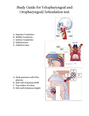 Unit 4 Notes Applied Anatomy - Unit 4 Notes Applied Anatomy Nervous ...