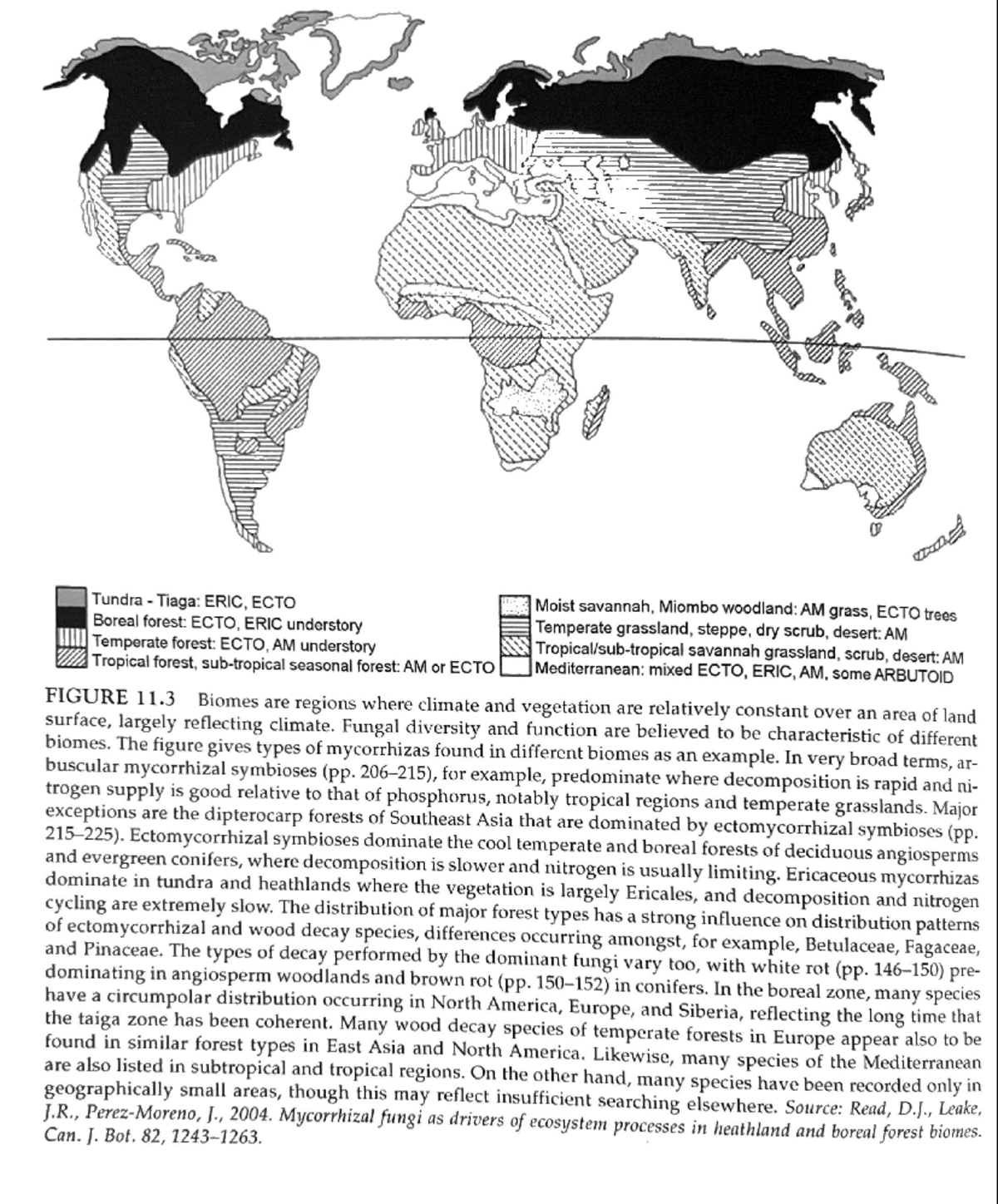 2023-03-29 14-53 - Practice - BIOL 260 - Studocu